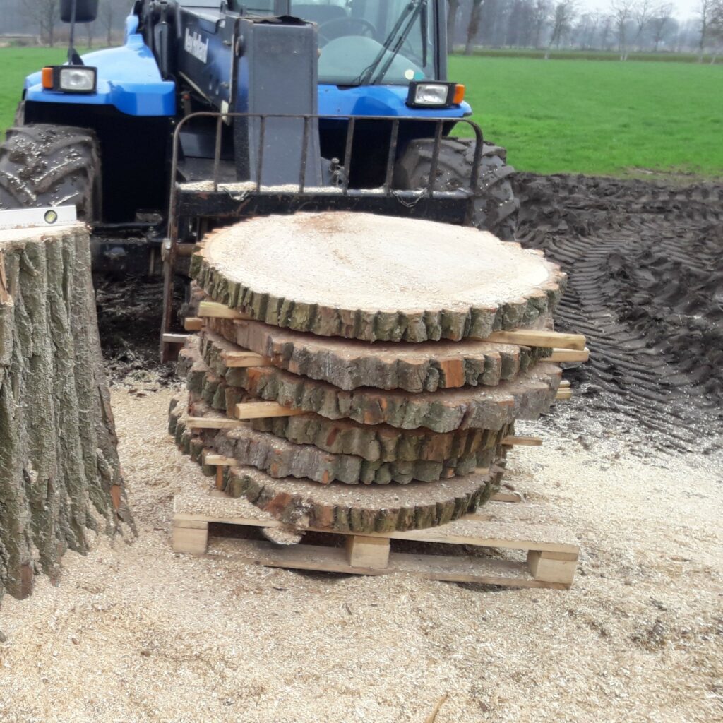 Boomstamschijven - van Gils Haardhout